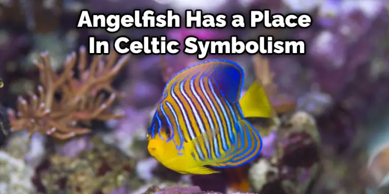Neon Pink Angelfish Meaning, Symbolism, and Totem | (2025)