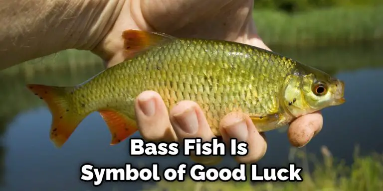 Bass Fish Symbolism, Spiritual Meaning, and Totem | (2026)