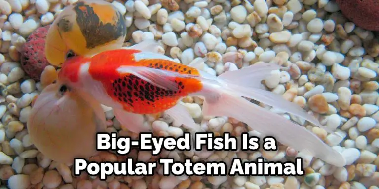 Big Eyed Fish Meaning, Symbolism, and Totem Explained (2025)