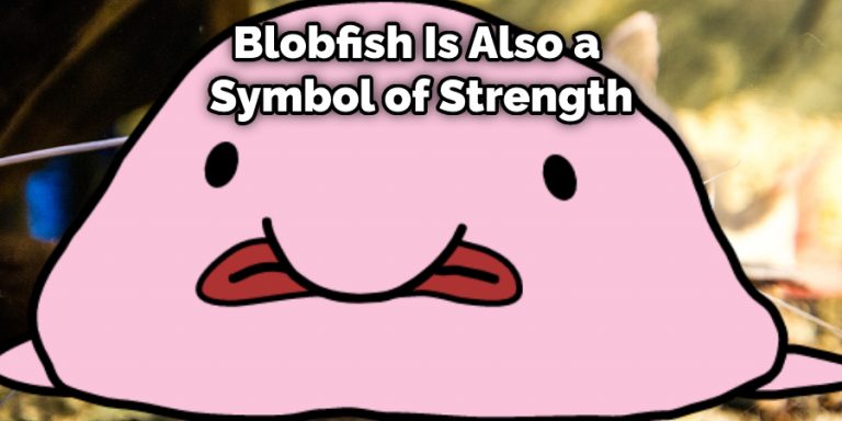 Blobfish Spiritual Meaning, Symbolism, and Totem | (2026)