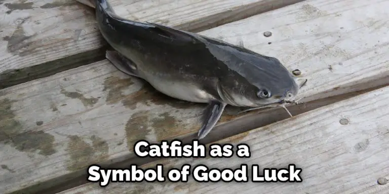 Catfish Symbolism, Spiritual Meaning, and Totem | (2025)
