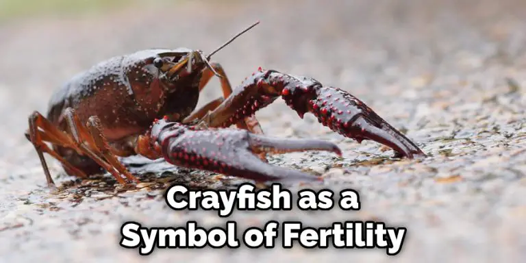 Crayfish Spiritual Meaning, Symbolism, and Totem | (2025)