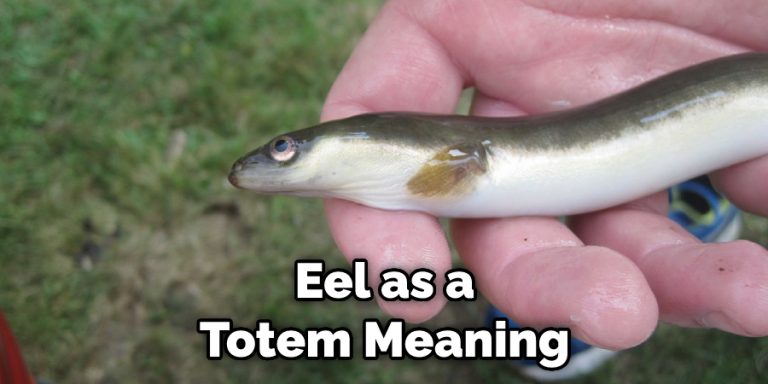 Eel Spiritual Meaning, Symbolism, and Totem Explained (2025)