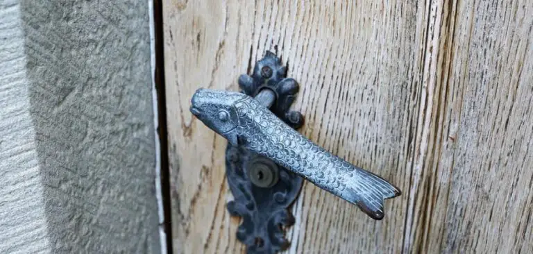 Fish Gate Spiritual Meaning, Symbolism, and Totem | (2025)