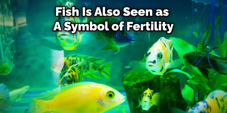 Prophetic Spiritual Meaning of Fish, Symbolism, and Totem