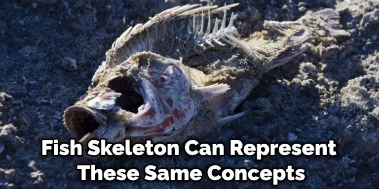 Fish Skeleton Symbolism, Spiritual Meaning, and Totem