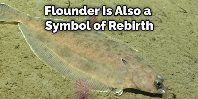 Flounder Meaning, Symbolism, and Totem Detailed Guide (2025)