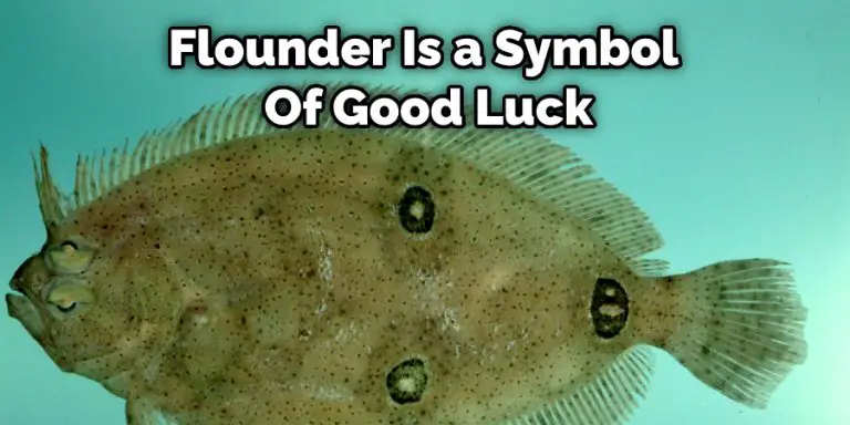 Flounder Meaning, Symbolism, and Totem Detailed Guide (2025)