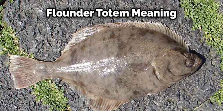 Flounder Meaning, Symbolism, and Totem Detailed Guide (2025)