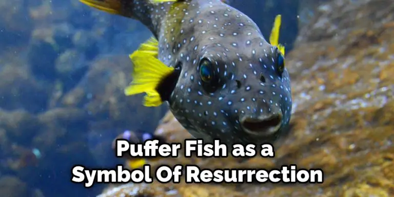 Puffer Fish Spiritual Meaning, Symbolism, and Totem | (2025)