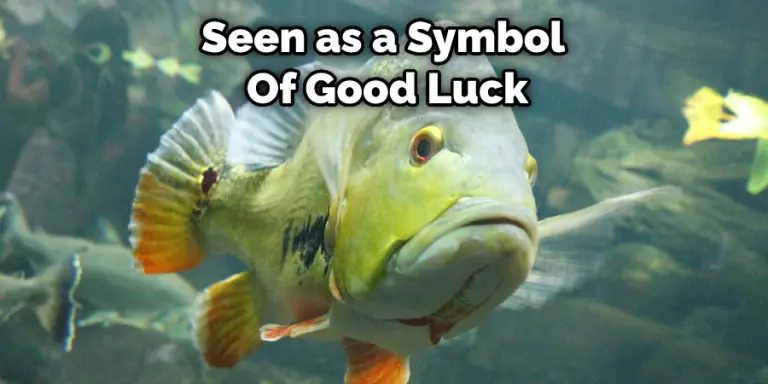 Prophetic Spiritual Meaning of Fish, Symbolism, and Totem