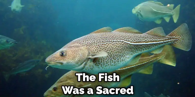 Christian Fish Symbolism, Spiritual Meaning, and Totem | (2025)
