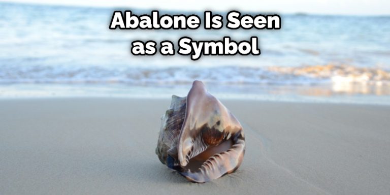 Abalone Spiritual Meaning, Symbolism, and Totem | (2025)