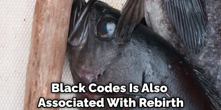 Black Codes Meaning, Symbolism, and Totem in Detail (2025)
