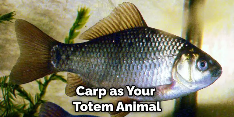 Carp Meaning, Symbolism, and Totem | (2026)