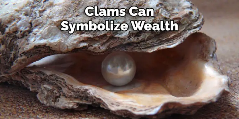 Clams Dream Meaning | Complete Guide (2025)