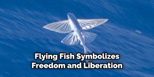 Flying Fish Dream Meaning | Complete Explanation (2025)