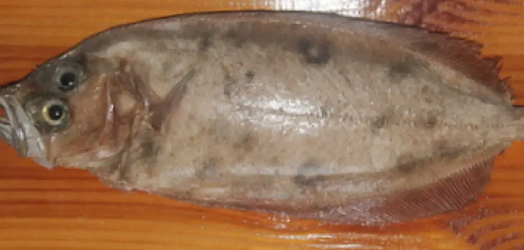 Megrim Meaning, Symbolism, and Totem | Explaned (2025)