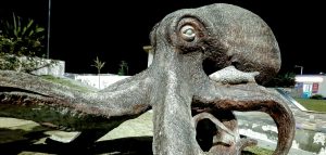 Octopus Spiritual Meaning, Symbolism, and Totem (2026)