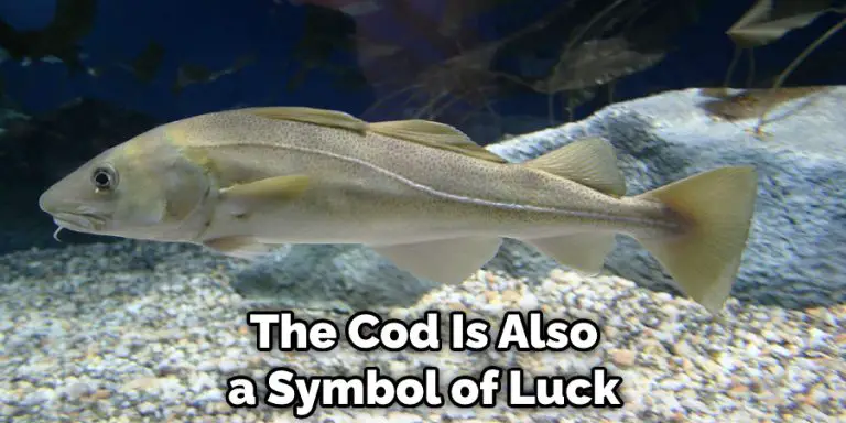 Cod Meaning, Symbolism, and Totem | Complete Explanation