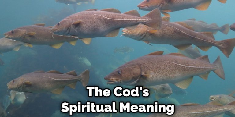 Cod Meaning, Symbolism, and Totem | Complete Explanation