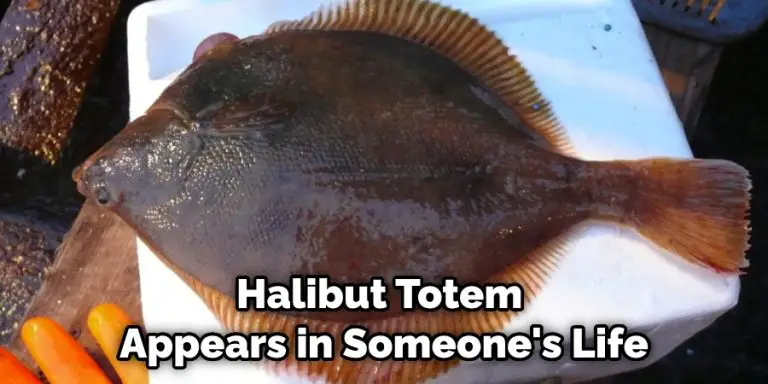 Halibut Meaning, Symbolism, and Totem | Detailed Guide