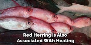 Red Herring Meaning, Symbolism, and Totem | Detailed Guide