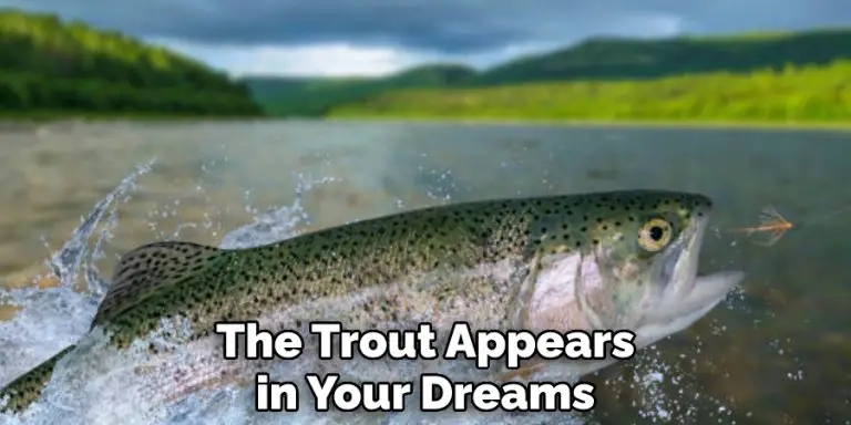 Trout Meaning, Symbolism, and Totem | Detailed Explanation