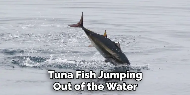 Meaning of Tuna, Symbolism, and Totem | Helpful Explanation