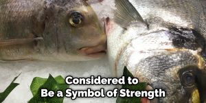 Catla Spiritual Meaning, Symbolism and Totem | Detailed Guide