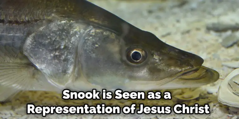 Snook Spiritual Meaning, Symbolism, and Totem | (2025)