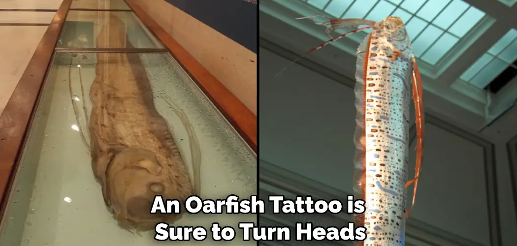 Oarfish Spiritual Meaning, Symbolism and Totem | Explanation