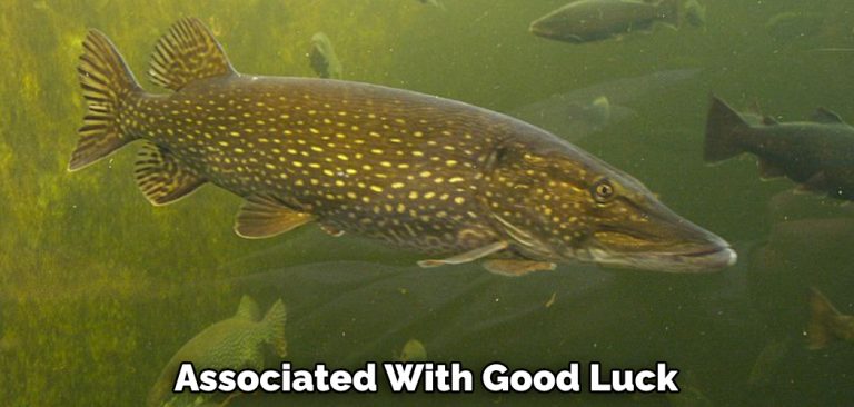Pike Fish Spiritual Meaning, Symbolism and Totem | A-Z (2025)