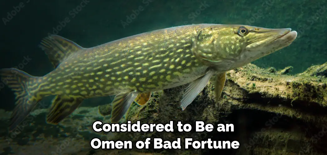 Pike Fish Spiritual Meaning, Symbolism and Totem | A-Z (2025)
