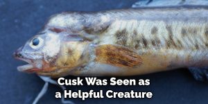 Cusk Spiritual Meaning, Symbolism and Totem | Instructions