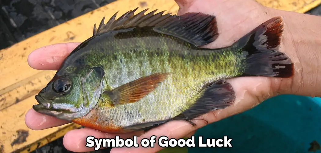 Sunfish Spiritual Meaning, Symbolism and Totem | A-Z (2026)