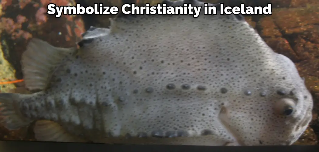 Lumpfish Spiritual Meaning, Symbolism and Totem | Instructions