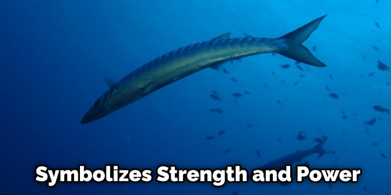 Wahoo Fish Spiritual Meaning, Symbolism and Totem (2026)