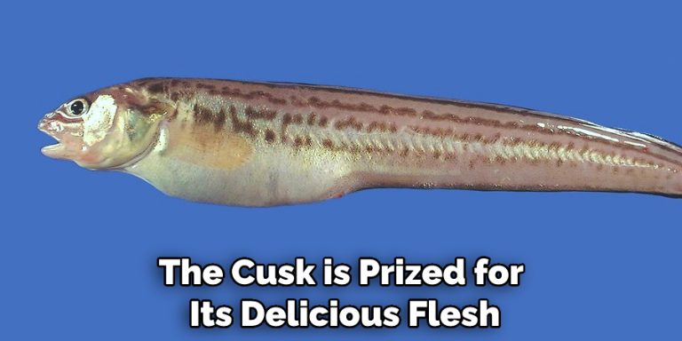 Cusk Spiritual Meaning, Symbolism and Totem | Instructions