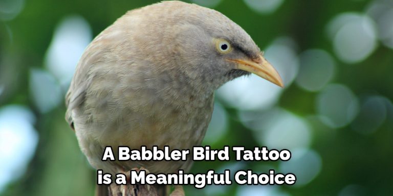Babbler Spiritual Meaning, Symbolism and Totem | Explanation