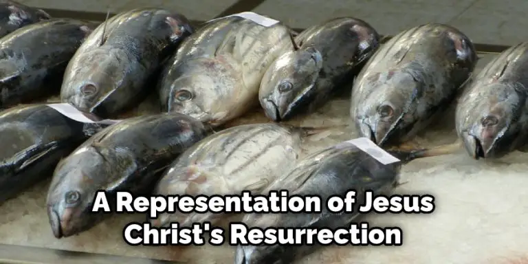 Bonito Spiritual Meaning, Symbolism and Totem | Instructions