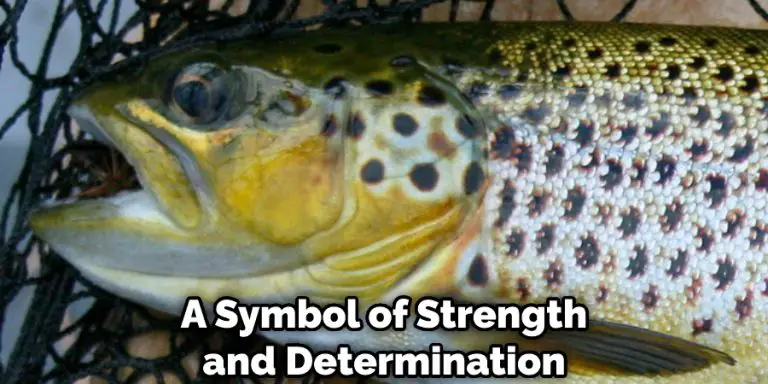 Brown trout Spiritual Meaning, Symbolism and Totem (2025)