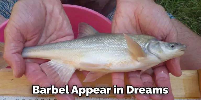Barbel Spiritual Meaning, Symbolism and Totem | Explanation