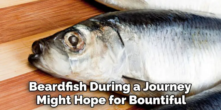Beardfish Spiritual Meaning, Symbolism and Totem (2026)