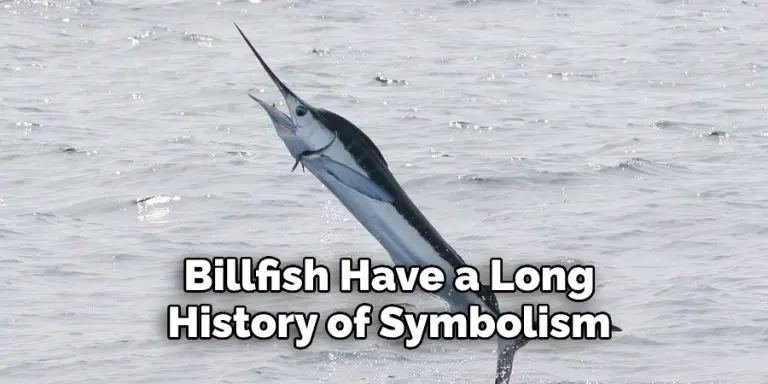 Billfish Spiritual Meaning, Symbolism and Totem | Explained