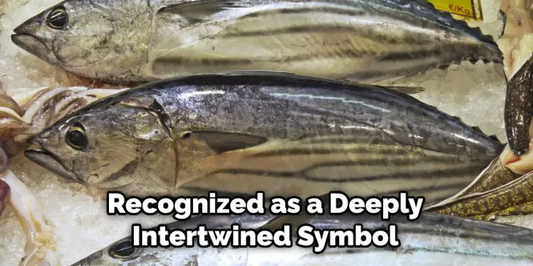 Bonito Spiritual Meaning, Symbolism and Totem | Instructions