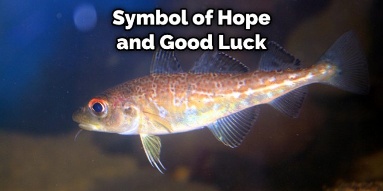 Codling Spiritual Meaning, Symbolism and Totem | Detailed Guide
