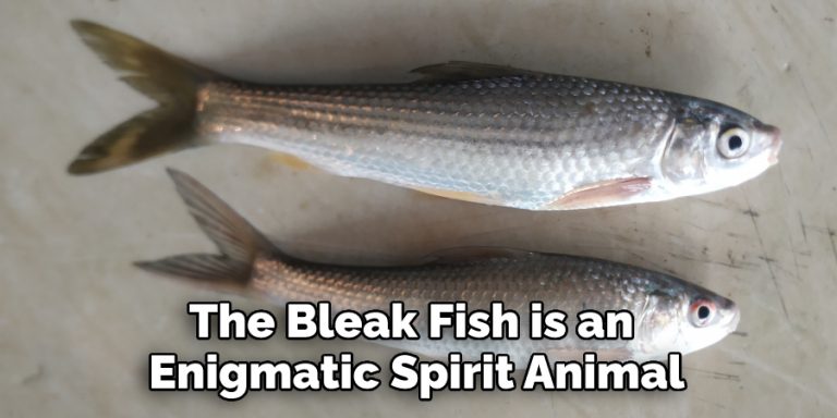 Bleak Spiritual Meaning, Symbolism and Totem | Detailed Guide