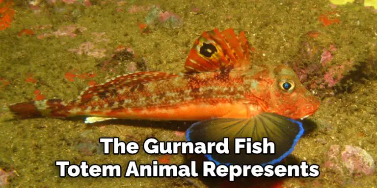 Gurnard Spiritual Meaning, Symbolism and Totem | Explained