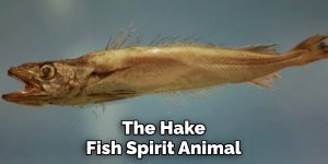 Hake Spiritual Meaning, Symbolism and Totem | Instructions